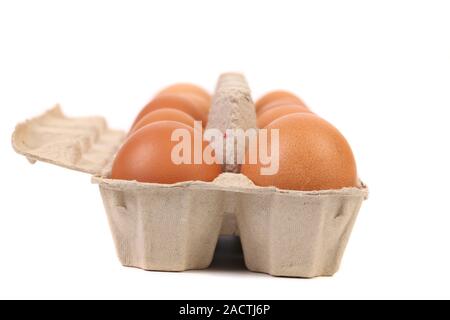 eggs in protective case foreground close-up isolated on white ...