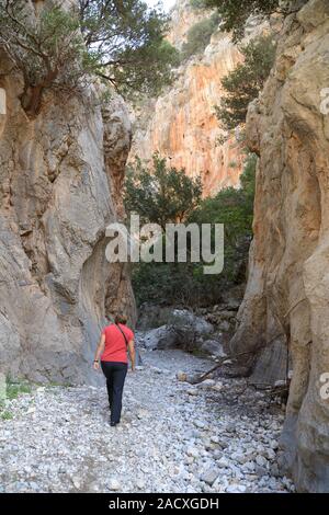 Kritsa Gorge, Crete Stock Photo - Alamy