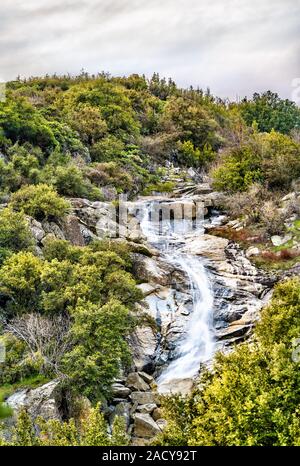 Water Flowing in River in Sequoia National Park Stock Photo - Alamy