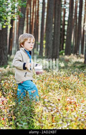 A bucket half-filled with red wild berries stands near the tree in a ...