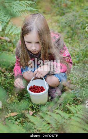 A bucket half-filled with red wild berries stands near the tree in a ...