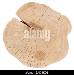 Cracked oak split isolated overhead view Stock Photo - Alamy