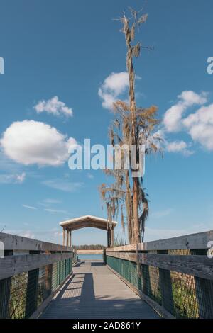 Dock leads to Dixie Lake at the campground of Lake Louisa State Park ...