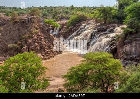 Awash river in the national park, Afar region, Awash, Ethiopia Stock ...