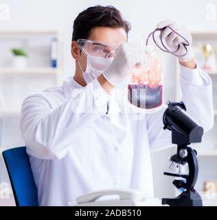 The doctor working with blood samples in hospital clinic lab Stock ...