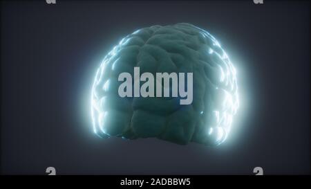 Loop Rotating Human Brain Animation Stock Photo - Alamy