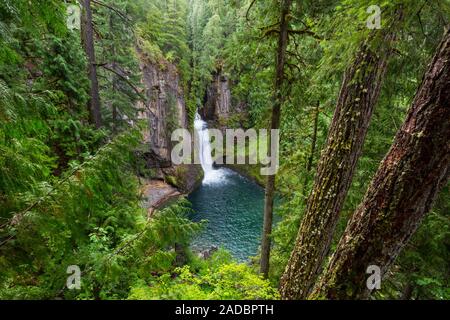 Point 'Lookout' and Great Falls, Grand Canyon of the Yellowstone ...