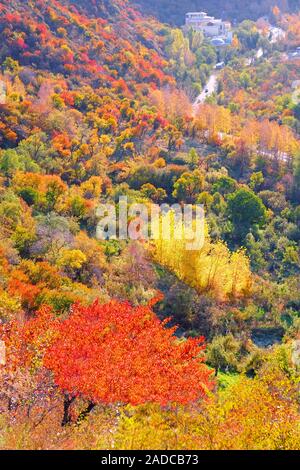 Golden autumn in Medeo gorge; Almaty city area, Kazakhstan Stock Photo ...