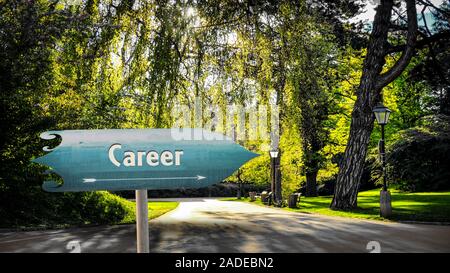 Street Sign the Direction Way to Career Stock Photo - Alamy