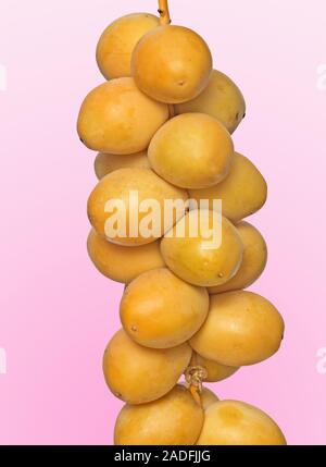 Bunch of fresh dates Stock Photo - Alamy