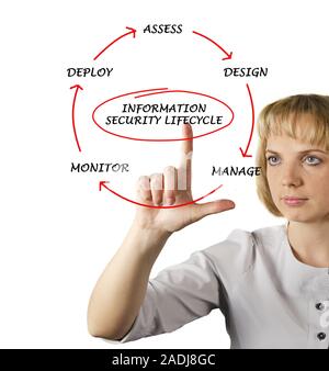 Diagram of information security lifecycle Stock Photo - Alamy