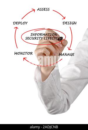 Diagram of information security lifecycle Stock Photo - Alamy