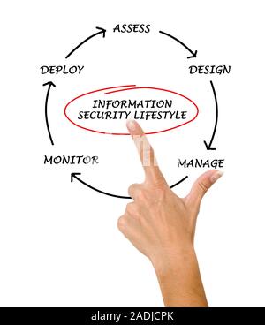 Diagram of information security lifecycle Stock Photo - Alamy
