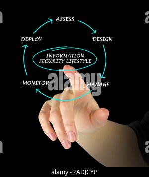 Diagram of information security lifecycle Stock Photo - Alamy