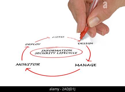 Diagram of information security lifecycle Stock Photo - Alamy