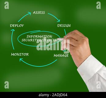 Diagram of information security lifecycle Stock Photo - Alamy