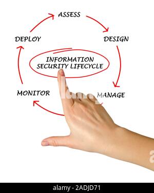 Diagram of information security lifecycle Stock Photo - Alamy