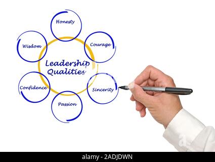 Diagram of leadership qualities Stock Photo - Alamy