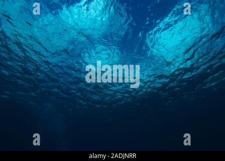 Underwater photography,sea below the surface in shallow and deep waters ...