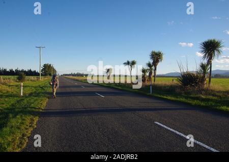 Thai female hiker. Inland Scenic Route Route 72. Te Araroa Trail. South ...