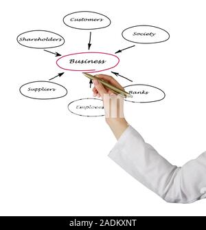 Diagram of relationship of business with stakeholders Stock Photo - Alamy