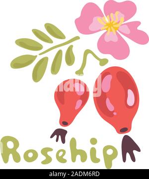 rosehip plant cartoon vector illustration Stock Vector Image & Art - Alamy