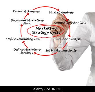 Marketing strategy cycle Stock Photo - Alamy