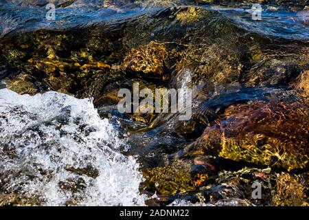 pebbles at the bottom of the river Stock Photo - Alamy