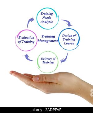 Four components of Training Management Stock Photo - Alamy