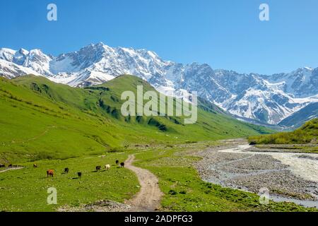 Shkhara peak in the massif known as the Bezingi (or Bezengi) Wall ...