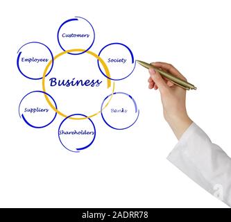Diagram of relationship of business with stakeholders Stock Photo - Alamy