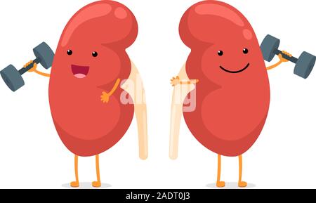 Strong healthy happy kidney smiling emotion character with red apple ...