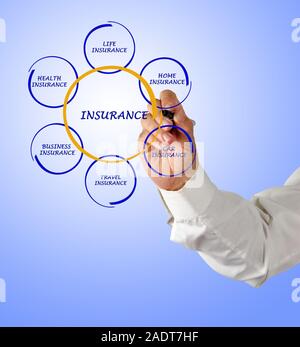 presenting insurance diagram Stock Photo - Alamy