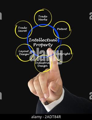 Diagram of Intellectual Property Stock Photo - Alamy