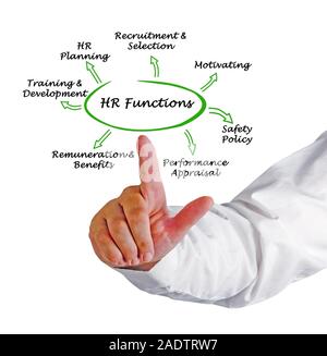 Diagram of HR Functions Stock Photo - Alamy
