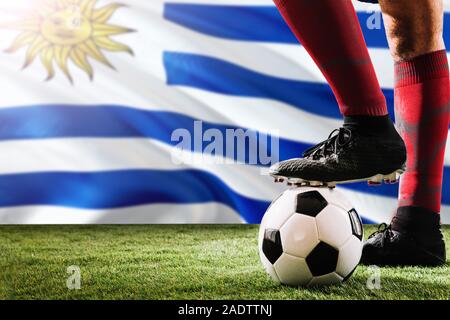 Soccer ball with Uruguayan flag in shopping cart on blue background ...