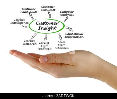 Diagram of Customer Insight Stock Photo - Alamy