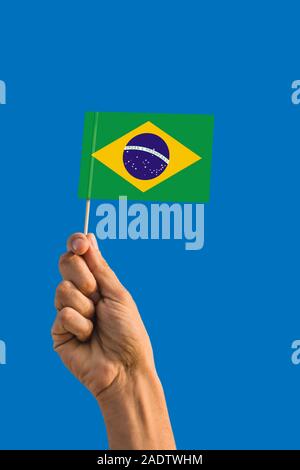 Woman holding and waving a brazilian flag on the beach Stock Photo - Alamy