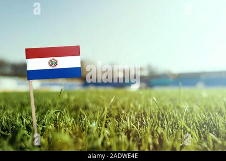 A small flag of Paraguay on the background of a blurred background ...