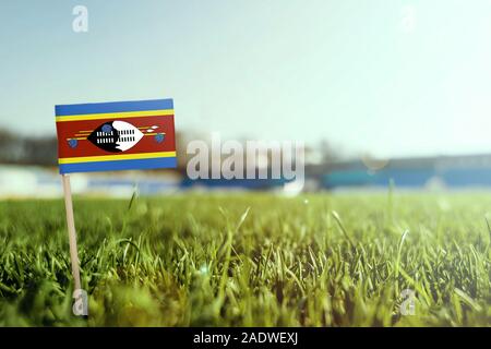 Small national flag of the Swaziland on a white background Stock Photo ...