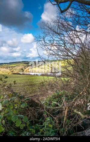 Porth Reservoir seen from Colan Woods the overgrown grounds of the ...