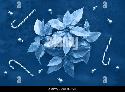 Santa hats with candy canes on light background Stock Photo - Alamy