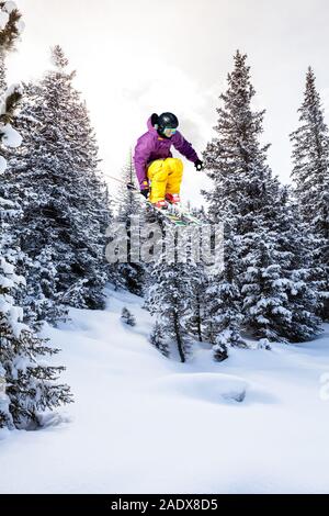 acrobatic jump on skis in winter scenery Stock Photo - Alamy