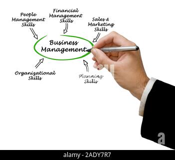 Man drawing diagram of MANAGEMENT SKILLS on grey wall Stock Photo - Alamy