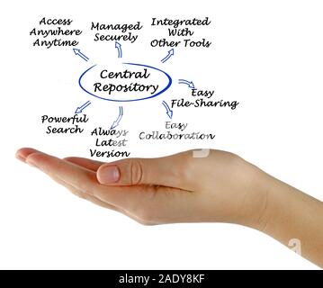 Diagram of central repository Stock Photo - Alamy