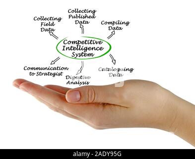 Diagram of Competitive Intelligence System Stock Photo - Alamy
