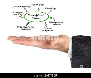 Diagram of Conceptual Skills Stock Photo - Alamy