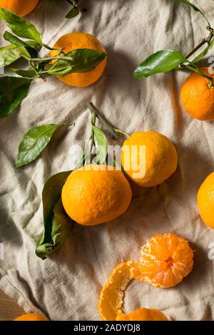 fresh mandarine oranges with leaves Stock Photo - Alamy