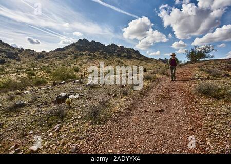 Phoenix Mountain Preserve. National park. Arizona. USA Stock Photo - Alamy
