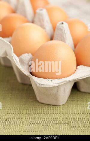 A row of fresh brown organic eggs placed in a cardboard tray package on ...